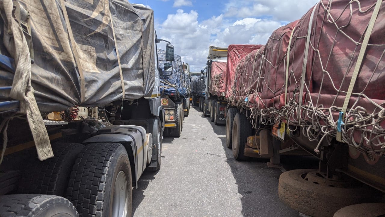 Queueing for Christmas - life at Beitbridge border post | The Citizen